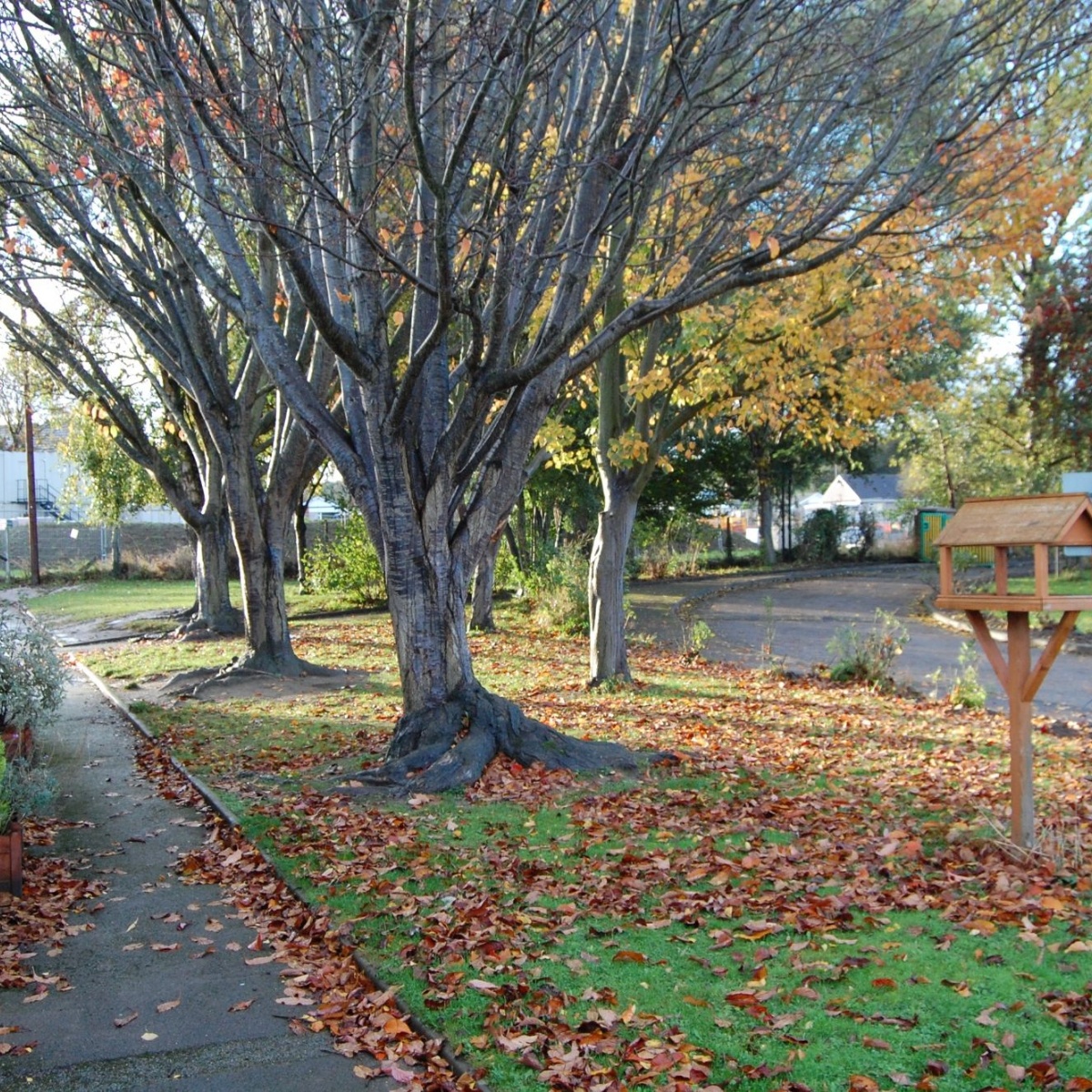 Ysgol Esgob Morgan C.I.W. Voluntary Controlled Primary School - Friday ...